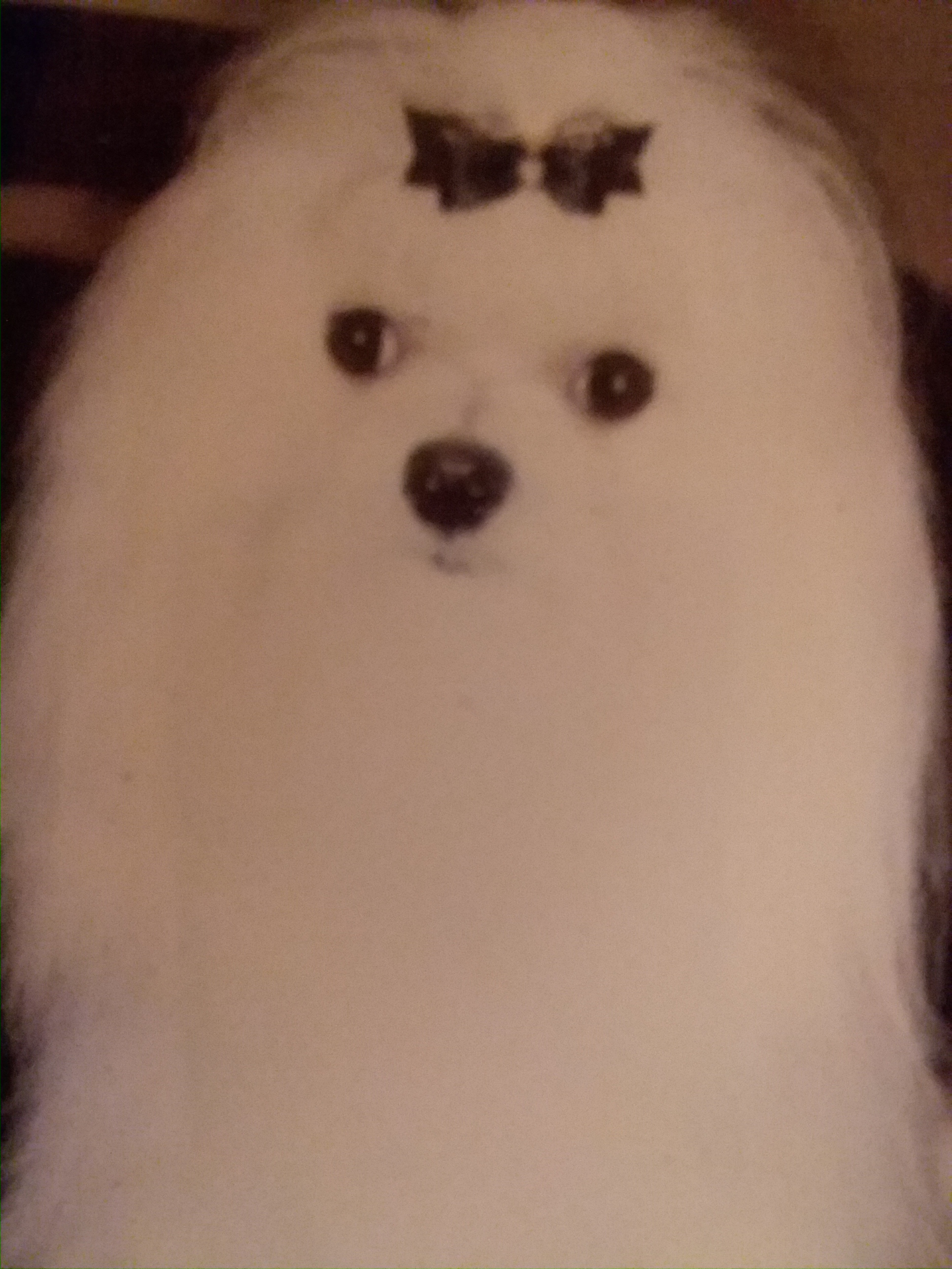 Fame and Fortune – Blind Tails