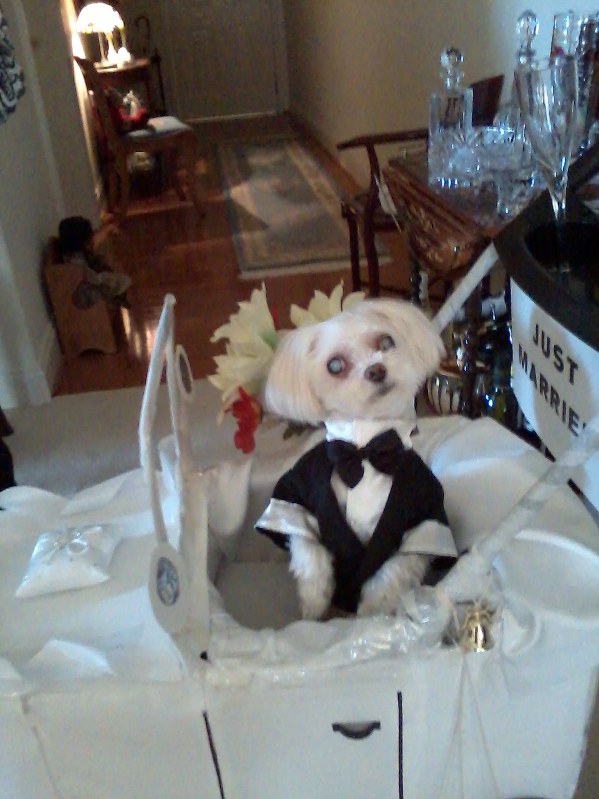 Fame and Fortune – Blind Tails